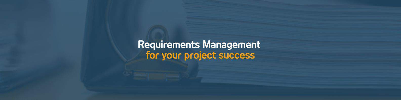 Requirements management as a significant criterion for your project ...
