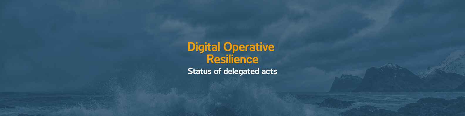 Current status around the delegated acts